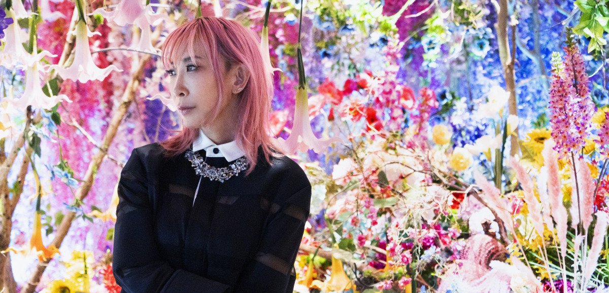 Rouen. Cathédrale de lumière : Mika Ninagawa explore les liens entre ...