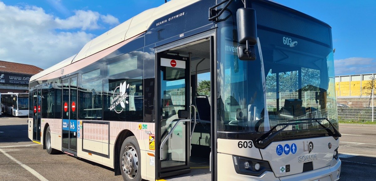 Le Havre. C'est quoi cette ligne de bus "Plage" qui sera lancée fin juin